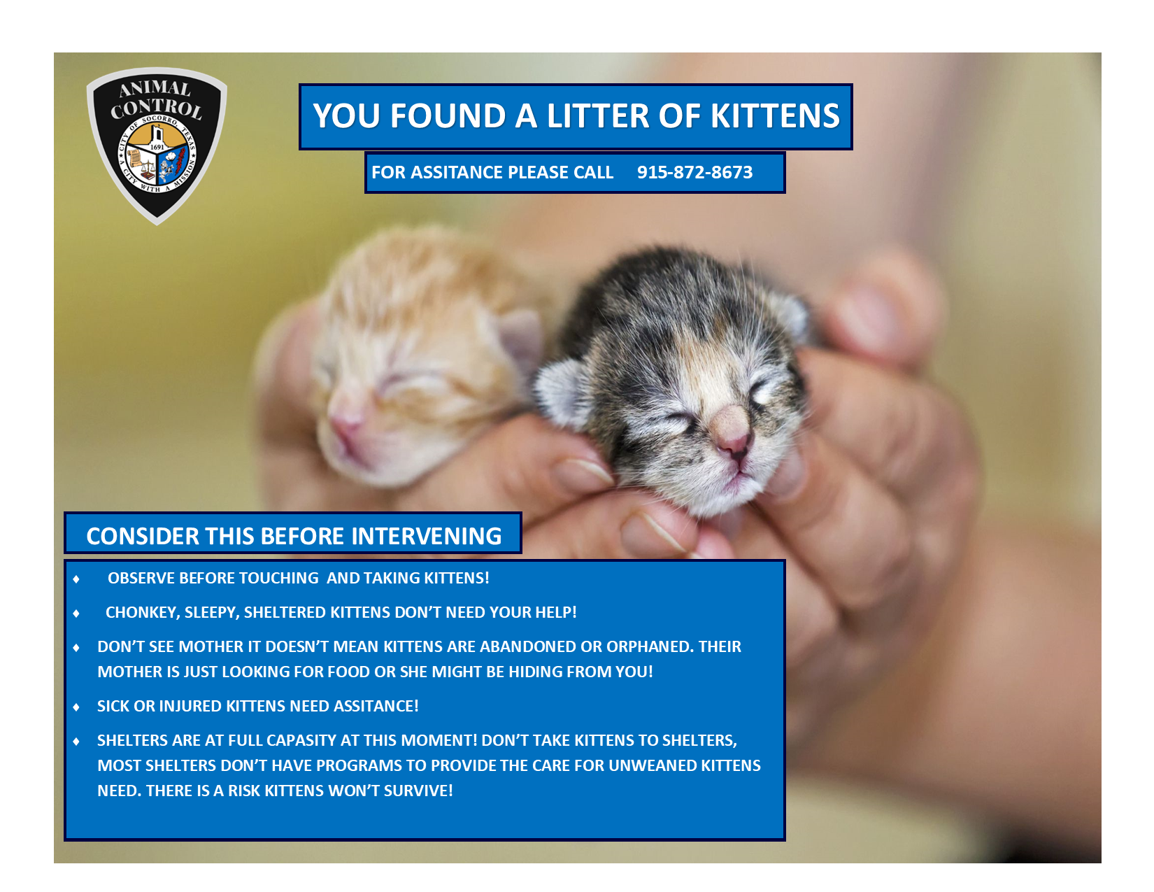 Animal Control News - City of Socorro Texas